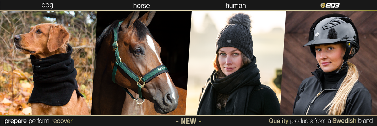 New In Stock – Back On Track NZ